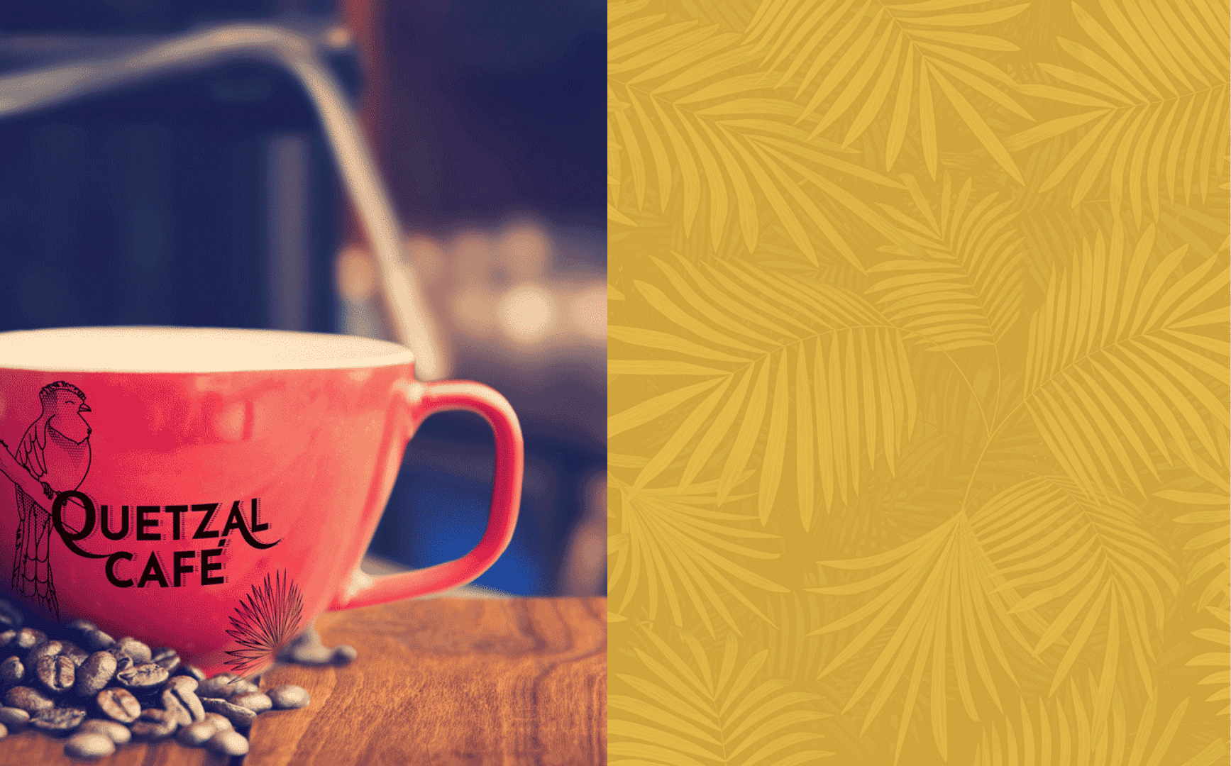 Quetzal Café - Café Thé Pause déjeuner Pâtisseries maison Clermont Ferrand